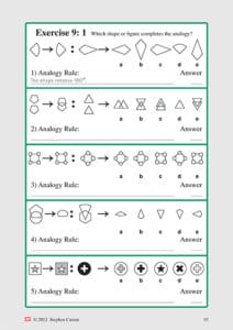 11+ Non-verbal Reasoning Year 3/4 Workbook 2 | AE Publications